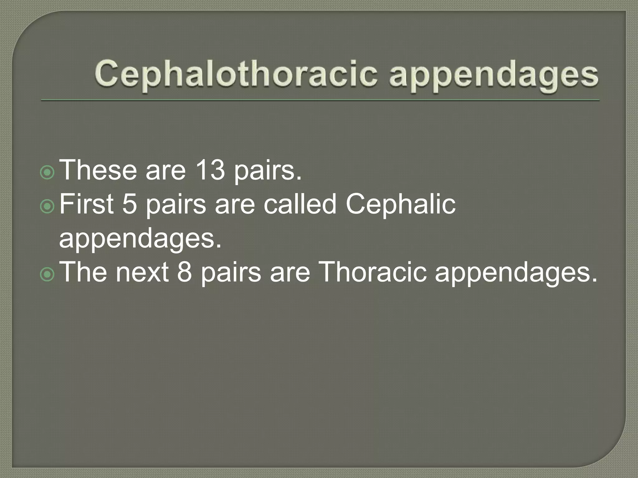 Prawn appendages | PPTX