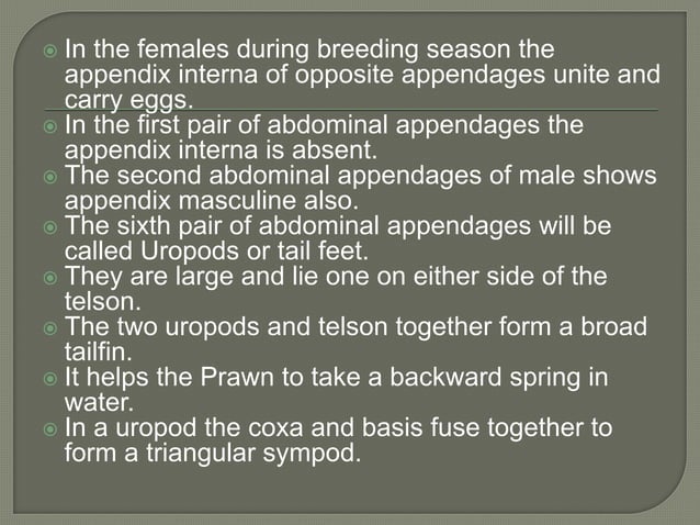 Prawn appendages | PPTX | Dental Health | Diseases and Conditions