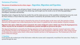 Prawn digestive system,parts of Alimentary canal,structure of hastate ...