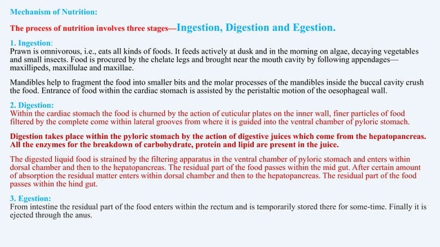 Prawn digestive system,parts of Alimentary canal,structure of hastate ...