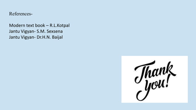 Prawn respiratory system,Types of gills,structure of gill plates ...