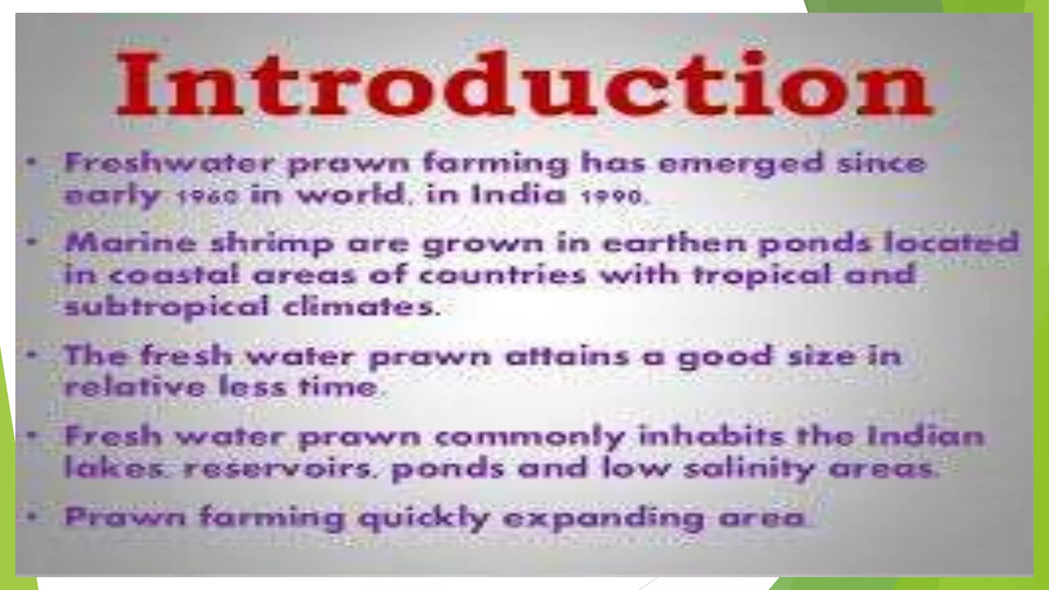 Prawn culture) | PPT