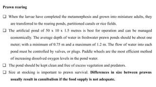 Farming of prawn and shrimp and its marketing | PPTX