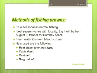 Prawn fisheries | PPTX