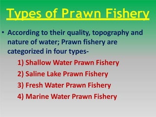 prawn.pptx