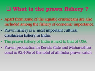 PRAWN FISHERY & DIFFERENT SPECIES OF PRAWN IN INDIA | PPTX