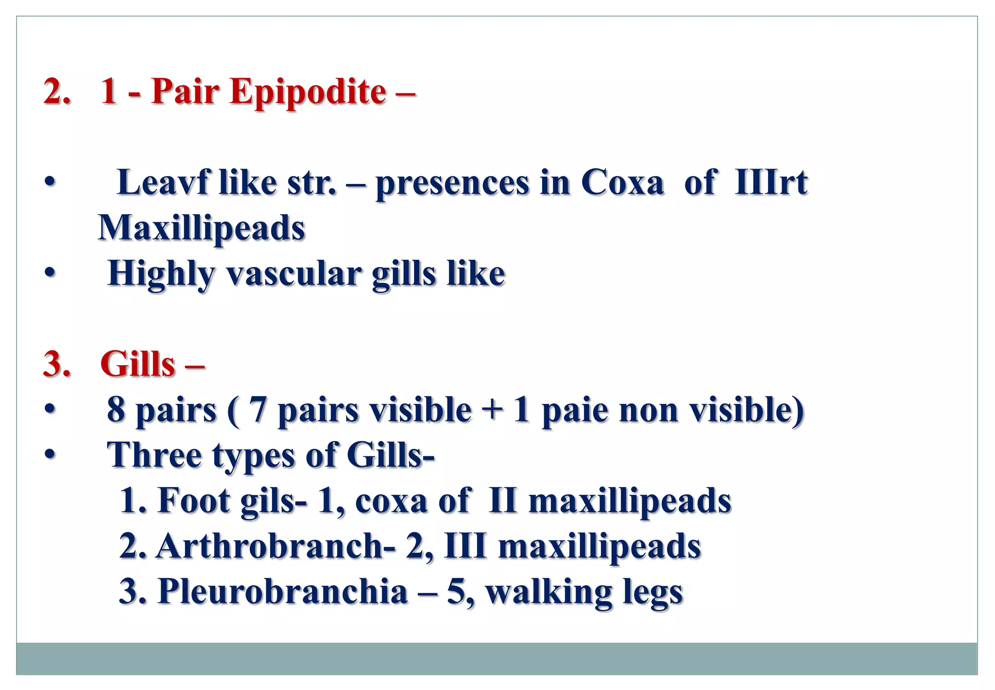 Study of Prawn (palaemon) | PPT
