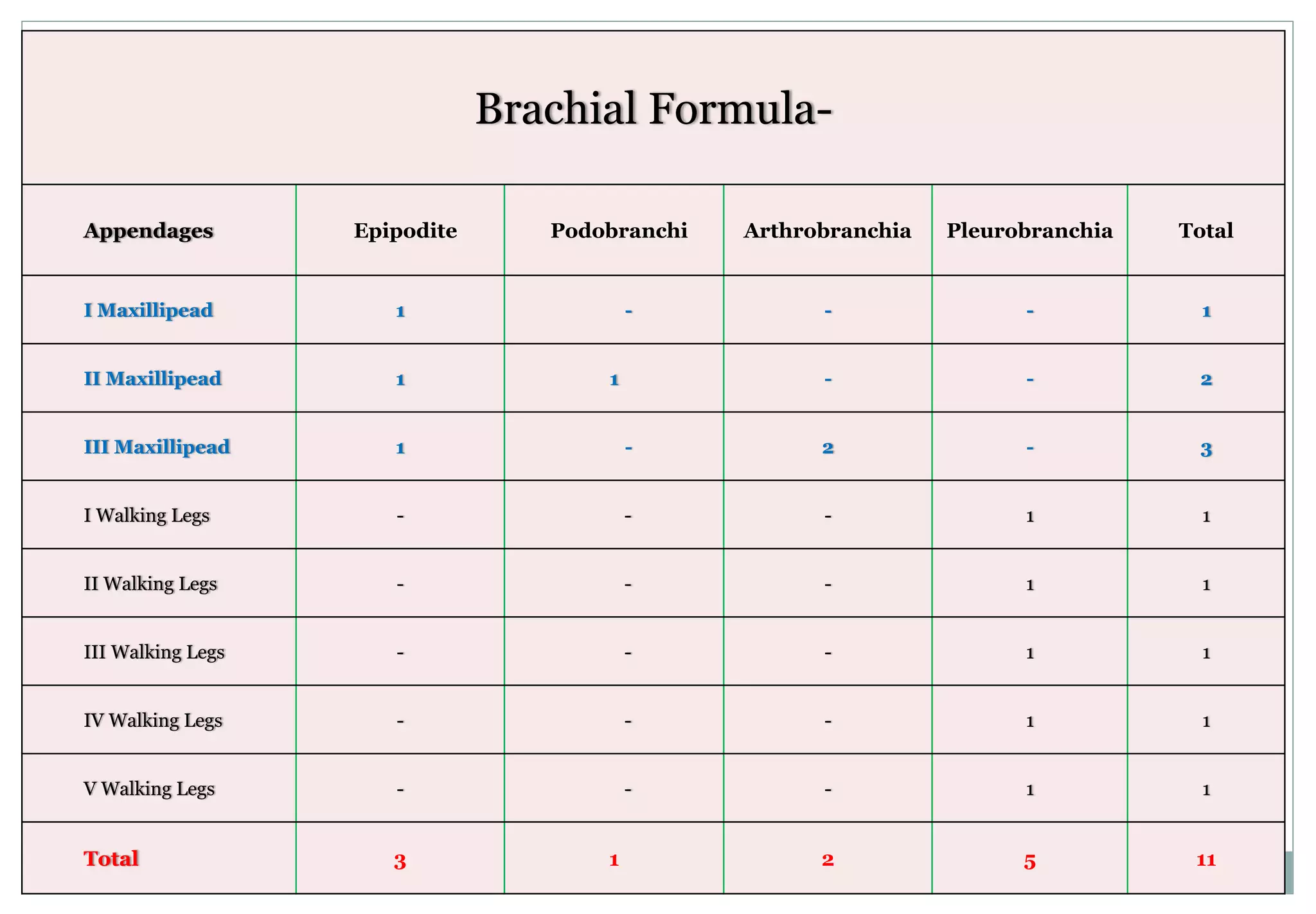 Study of Prawn (palaemon) | PPT