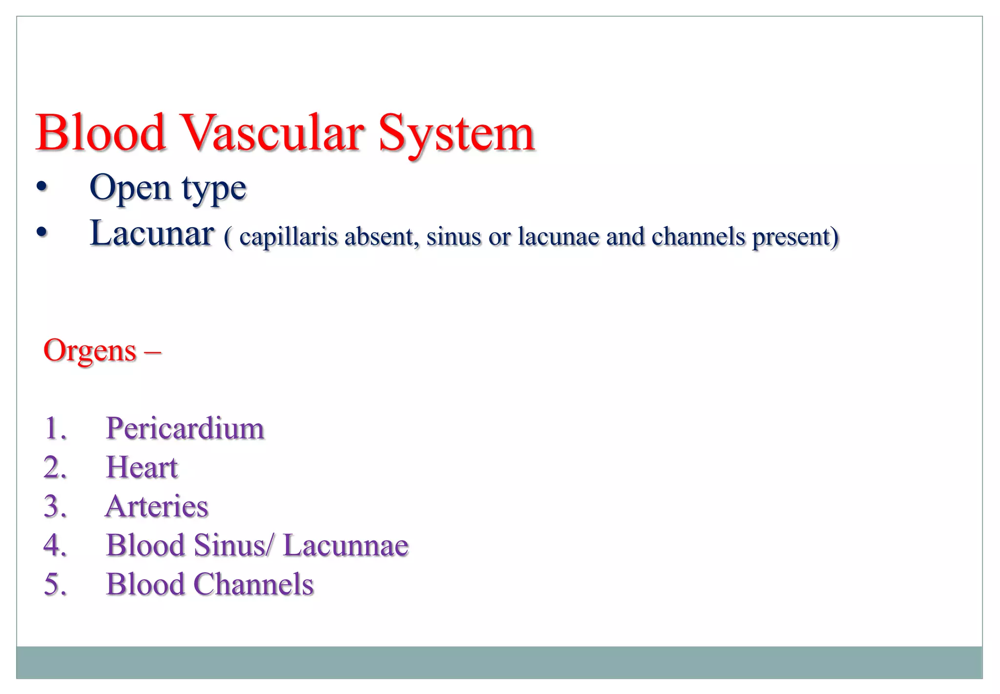 Study of Prawn (palaemon) | PPT