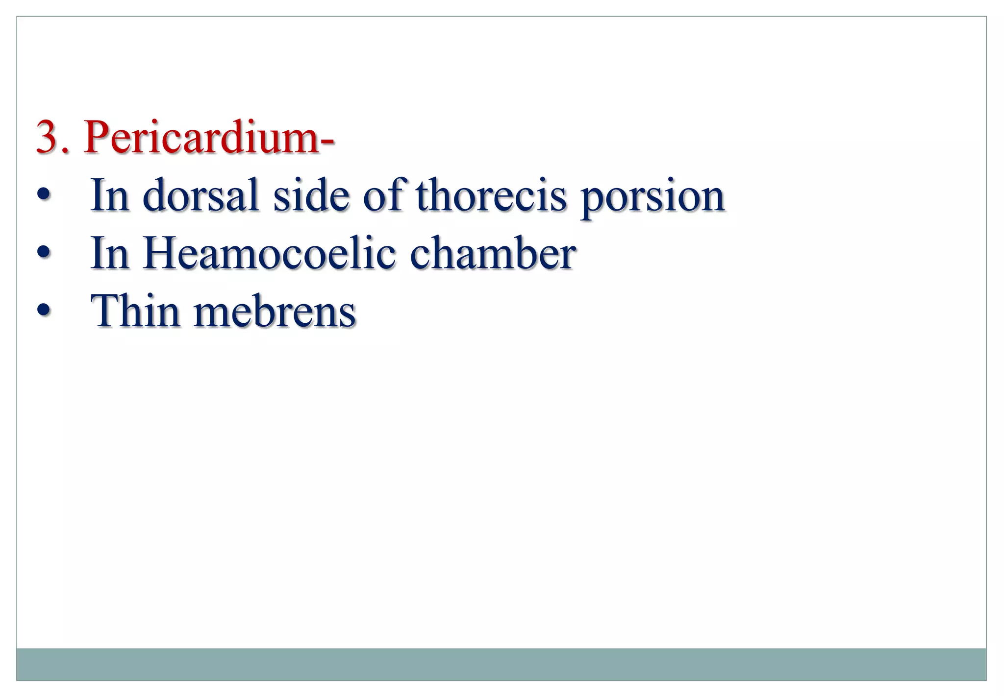 Study of Prawn (palaemon) | PPT