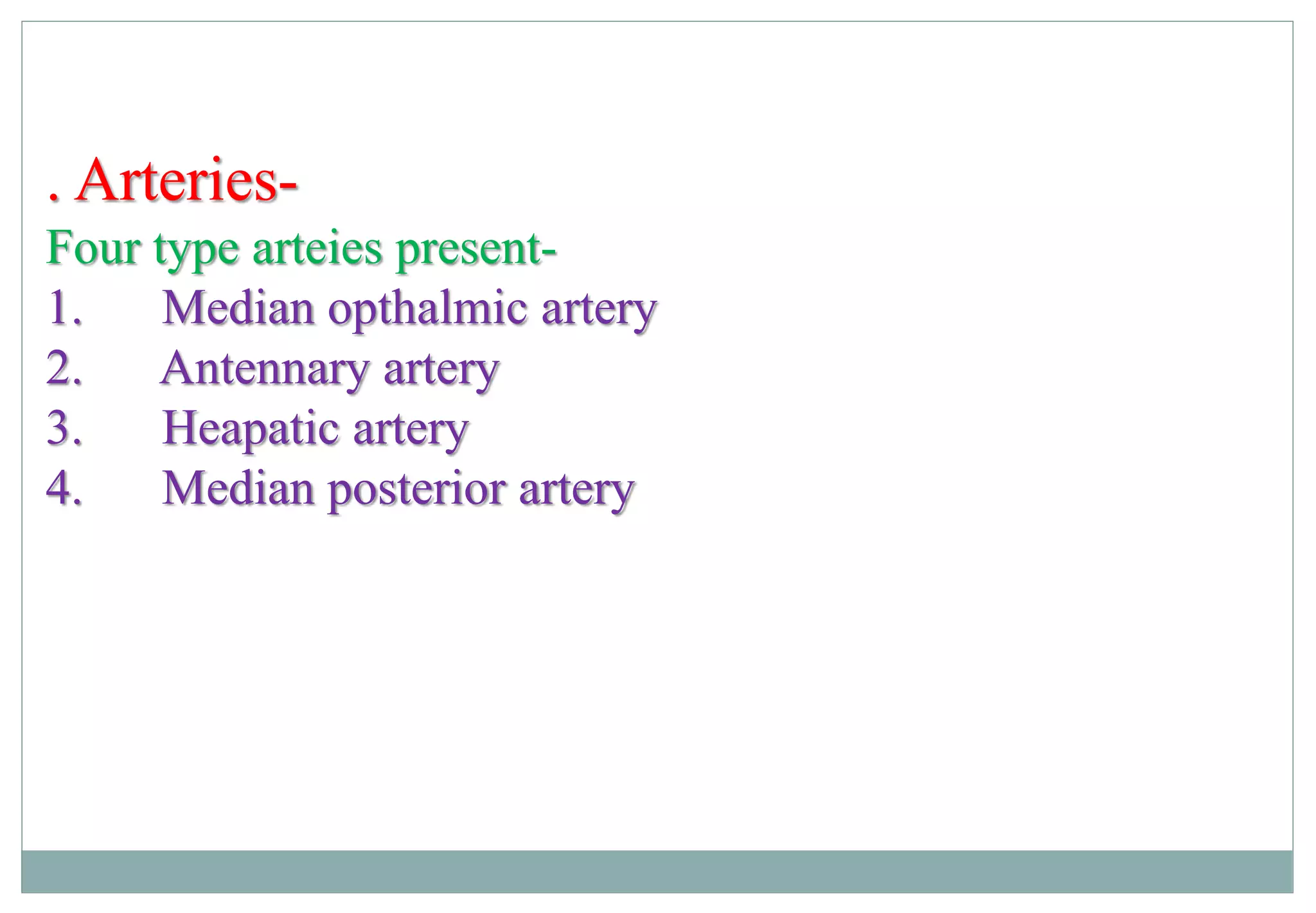 Study of Prawn (palaemon) | PPT