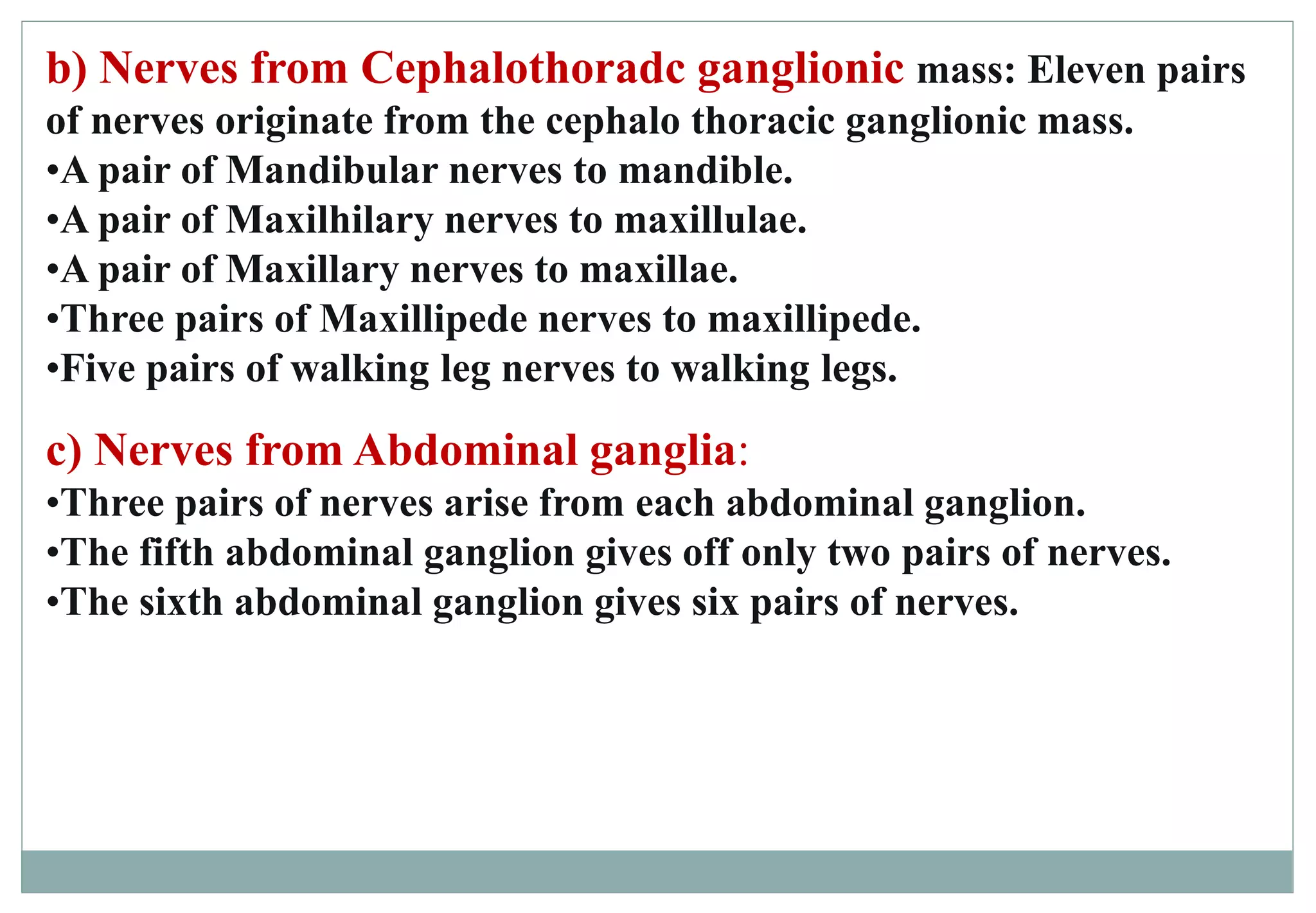 Study of Prawn (palaemon) | PPT