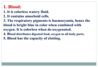 Study of Prawn (palaemon) | PPT