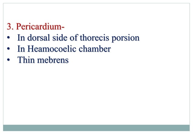 Study of Prawn (palaemon) | PPT