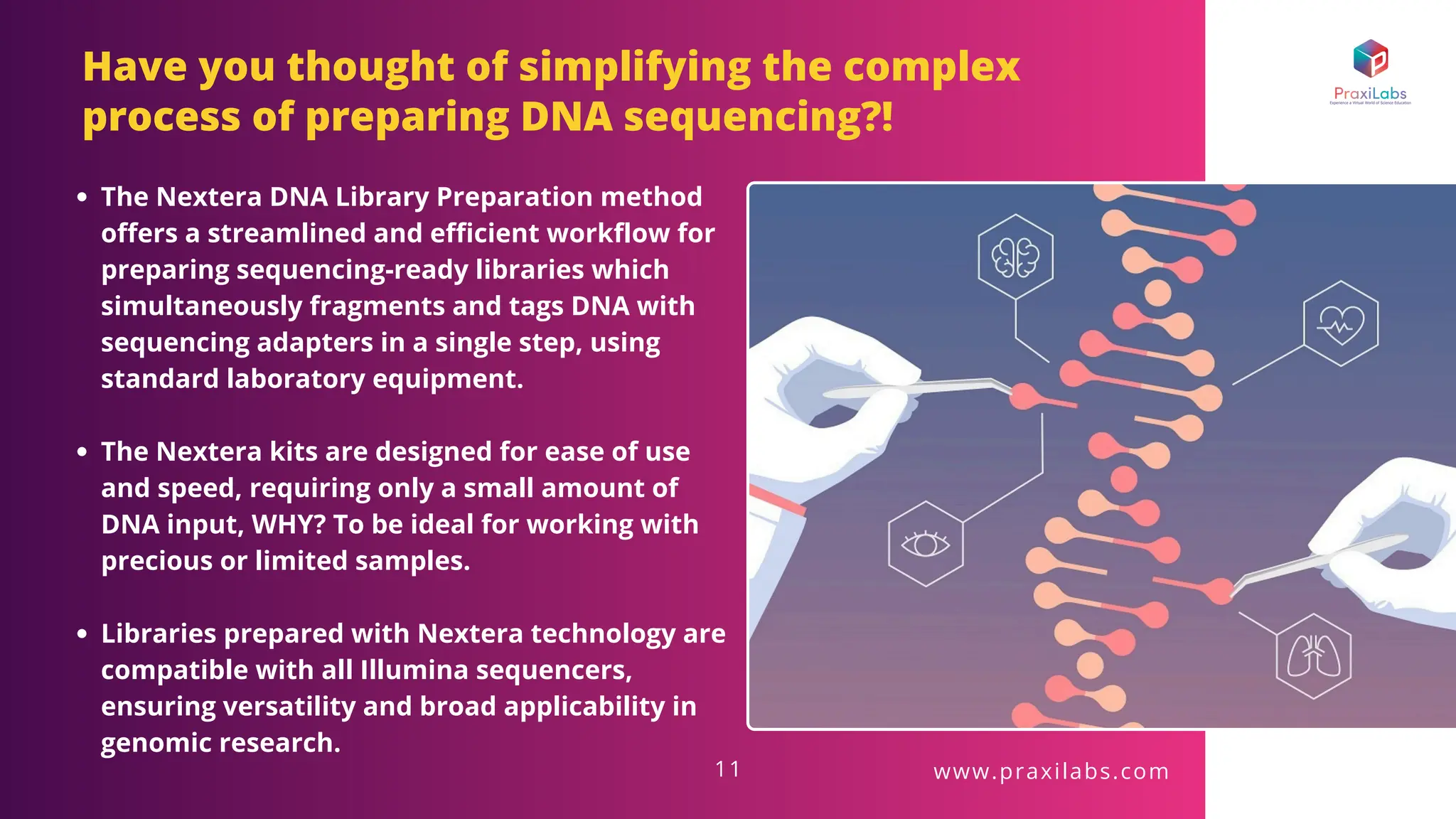 PraxiLabs- A Deep Dive into DNA Sequencing: Methods and Applications | PDF