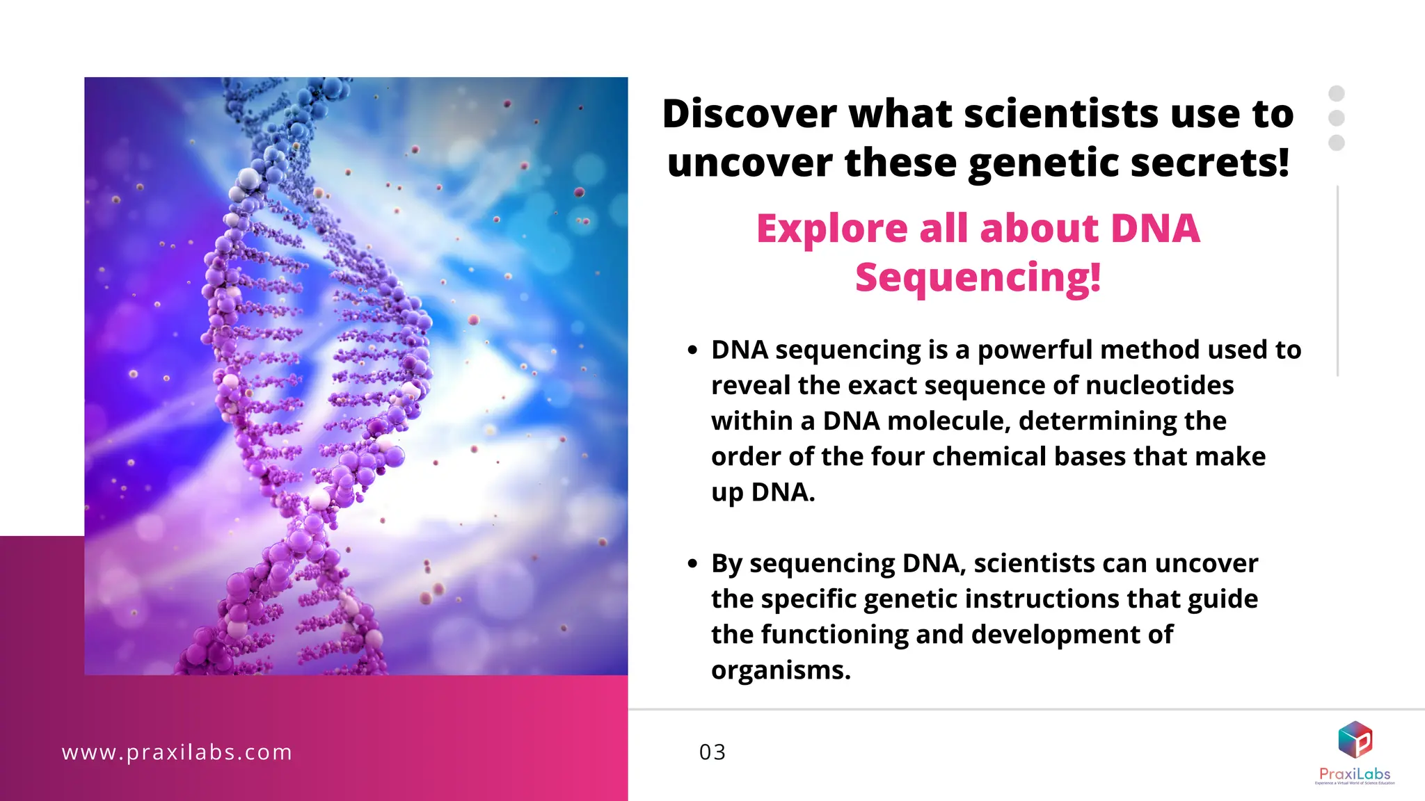 PraxiLabs- A Deep Dive into DNA Sequencing: Methods and Applications | PDF