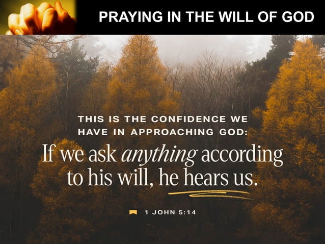 PRAYING IN THE WILL OF GOD - THE LORDS PRAYER | PPT | Free Download