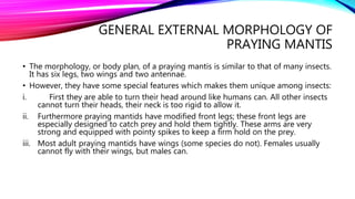 Roles of 'Praying Mantis' in agriculture. | PPTX