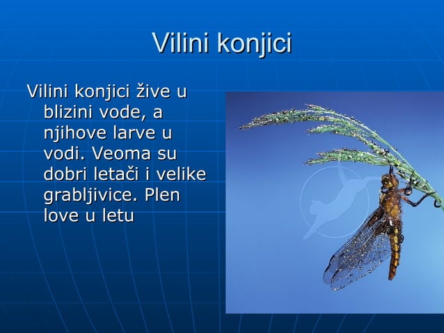 Prazivotinje_prezentacija_o_prazivotinjama.ppt