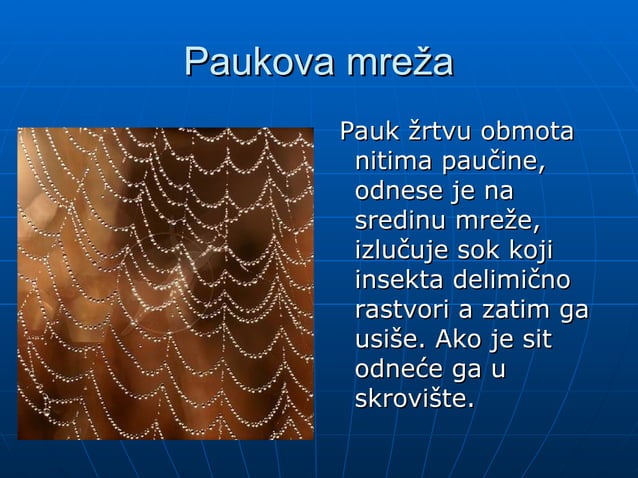 Prazivotinje_prezentacija_o_prazivotinjama.ppt