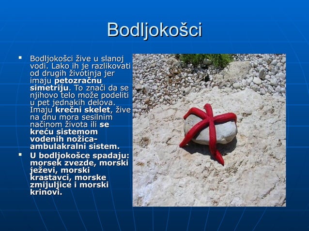 Prazivotinje_prezentacija_o_prazivotinjama.ppt