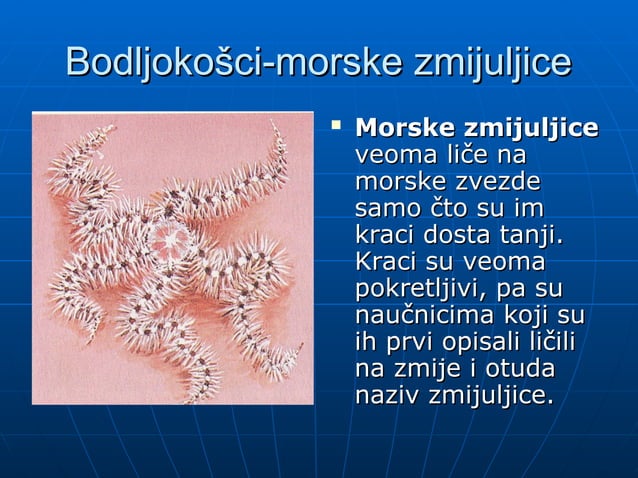 Prazivotinje_prezentacija_o_prazivotinjama.ppt