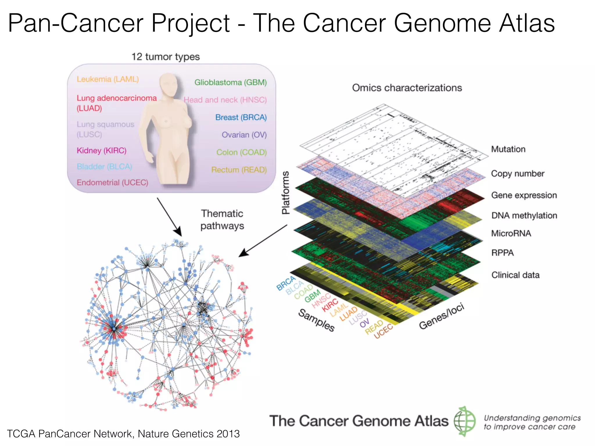 Identification of cancer drivers across tumor types | PDF