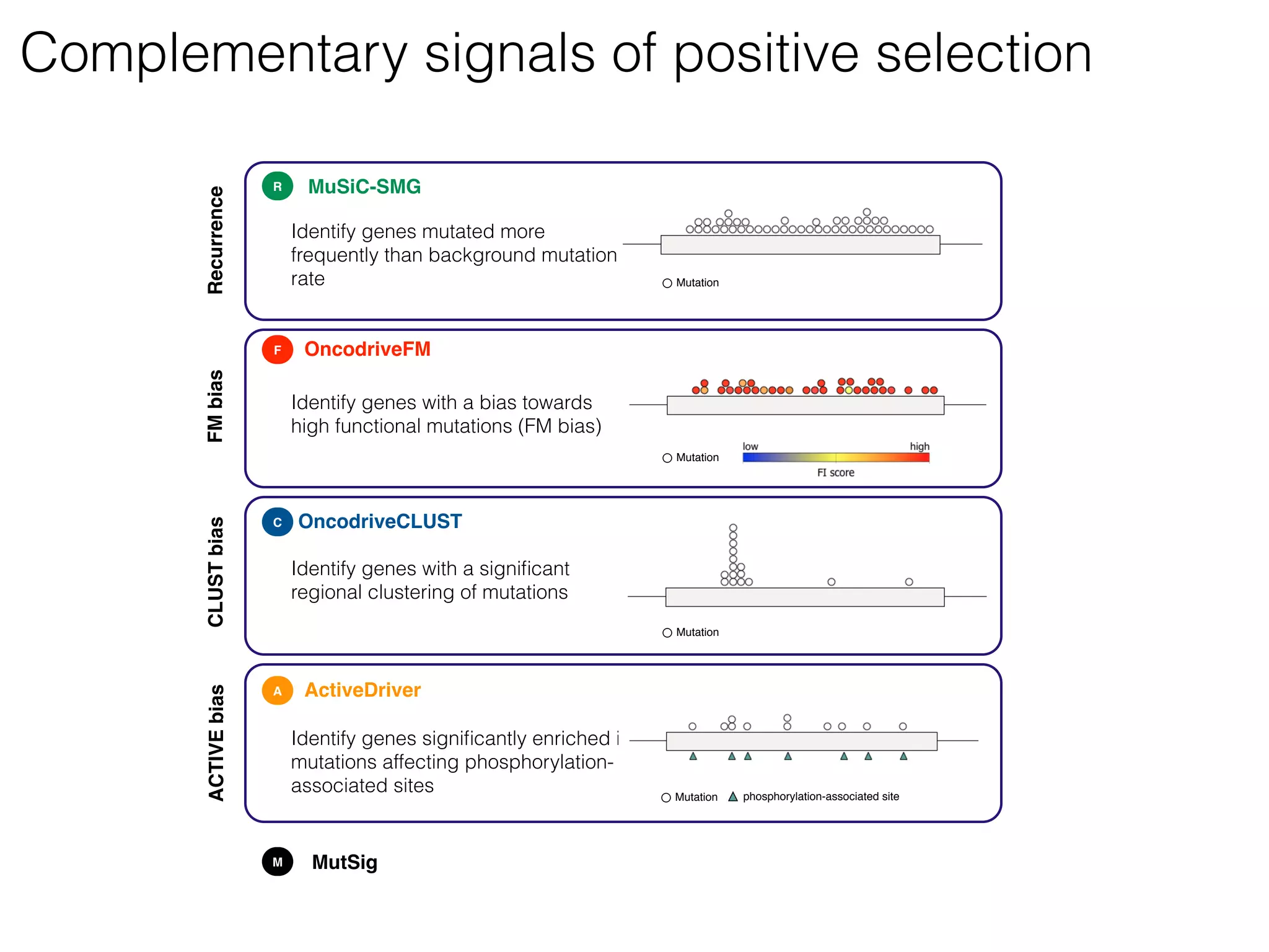 Identification of cancer drivers across tumor types | PDF