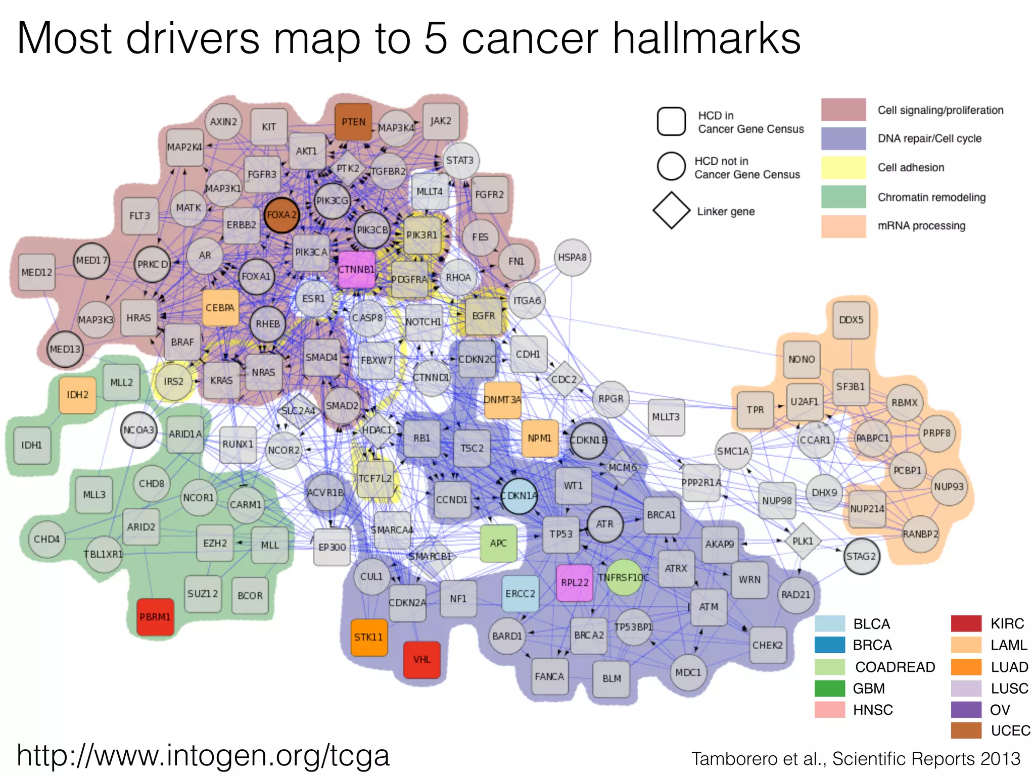 Identification of cancer drivers across tumor types | PPT