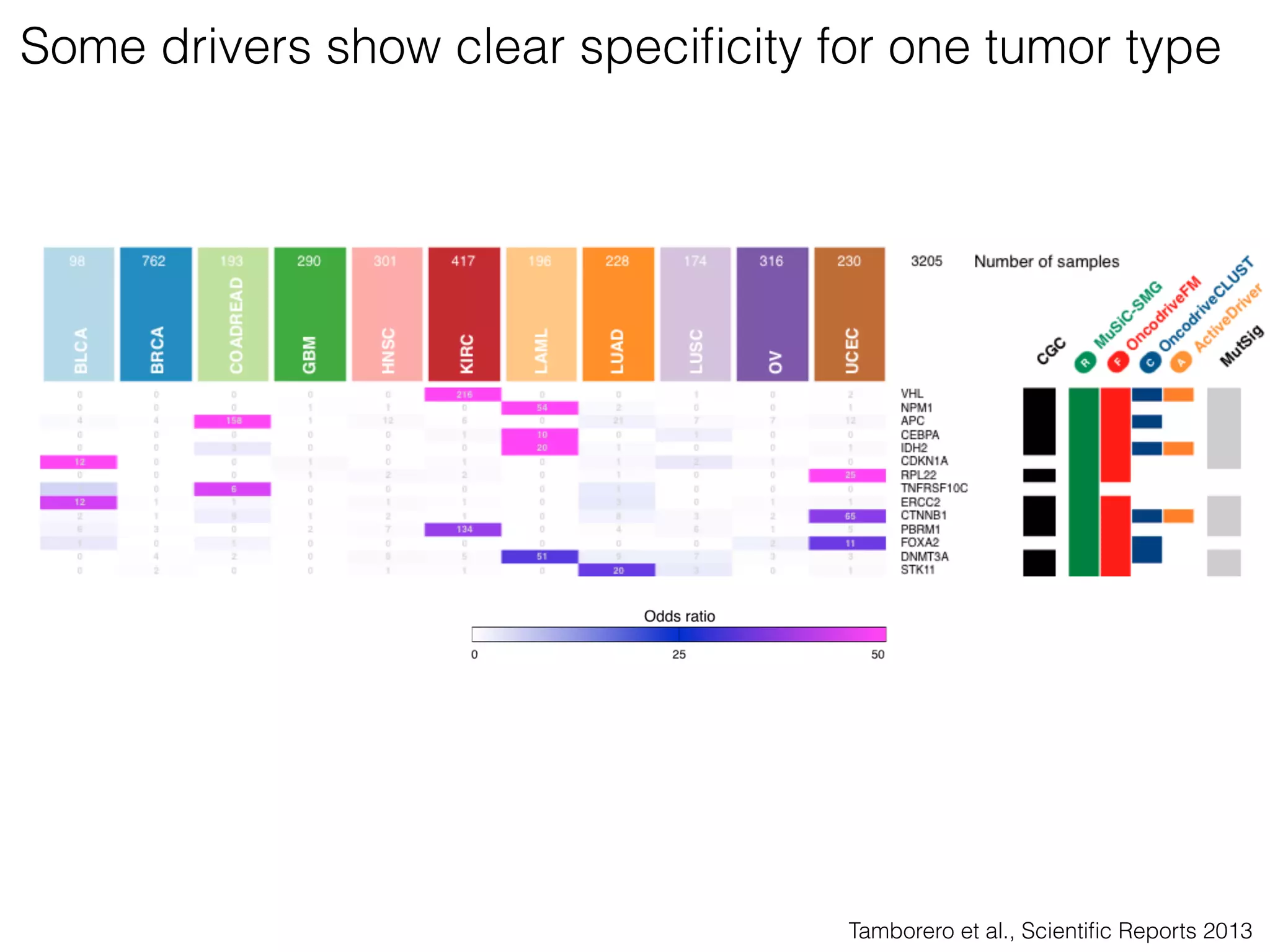 Identification of cancer drivers across tumor types | PPT