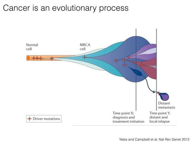 Identification of cancer drivers across tumor types | PPT