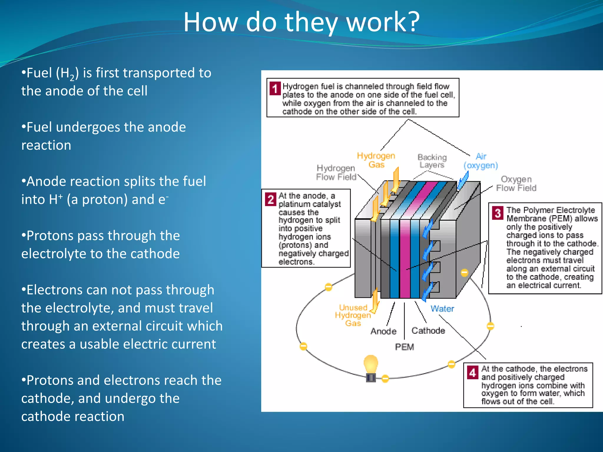 Hydrogen fuel cell Technology | PPT