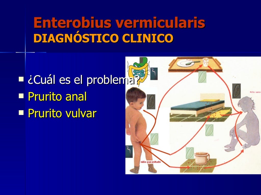 Enterobius vermicularis