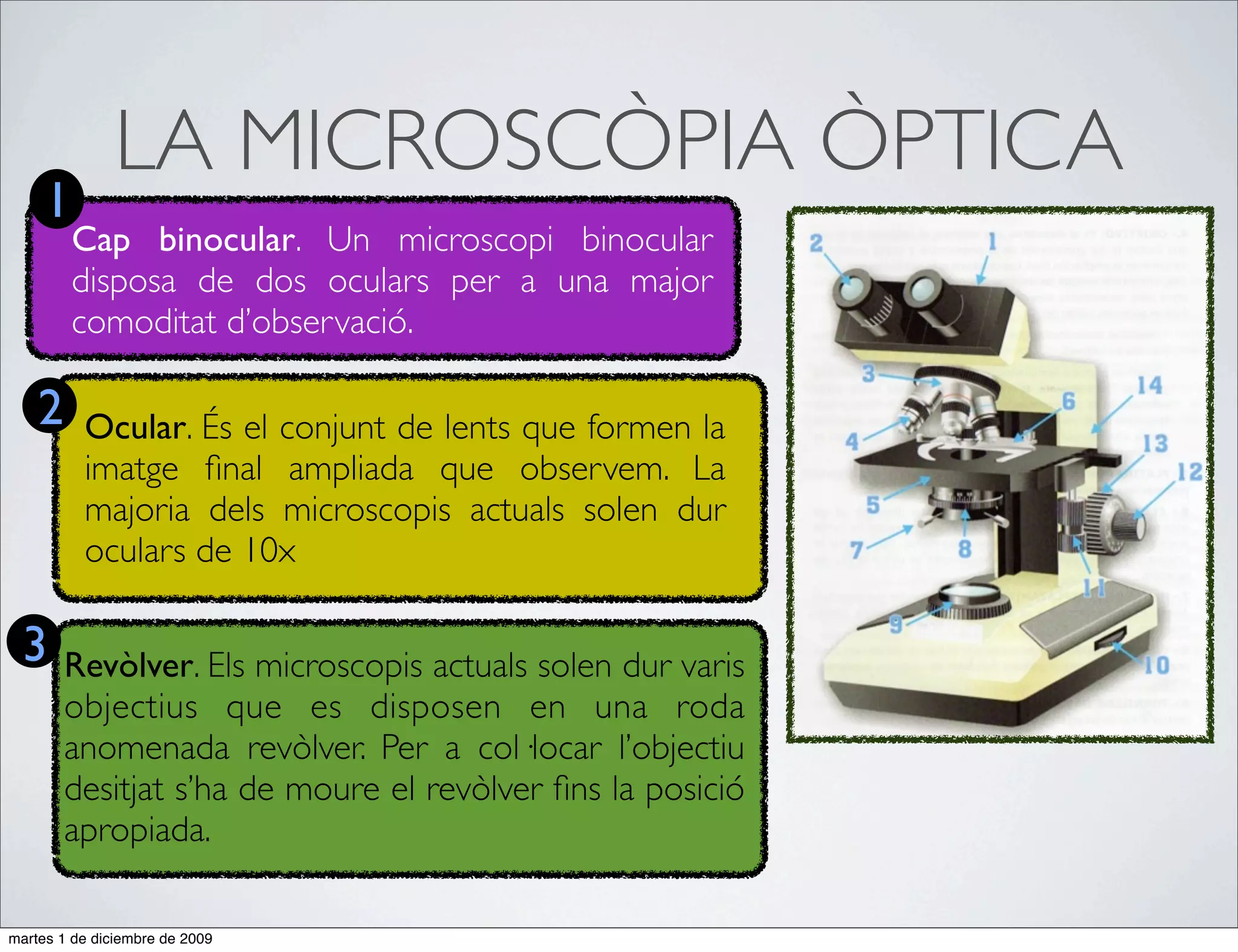 33. El microscopi òptic | PDF