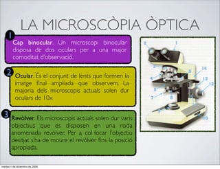 33. El microscopi òptic | PDF