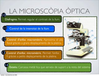 33. El microscopi òptic | PDF