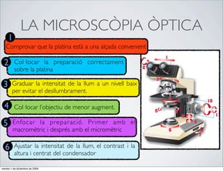 33. El microscopi òptic | PDF