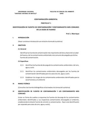 Práctica 1 contaminacion ambiental | DOCX