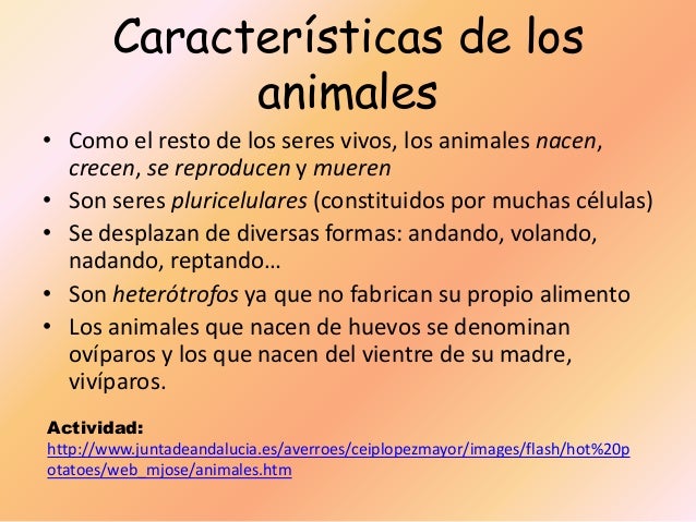 Los animales
