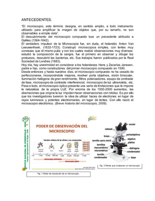 Práctica microscopía | DOCX