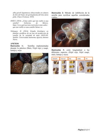Práctica 5_ Informe_Viabilidad de semillas.pdf