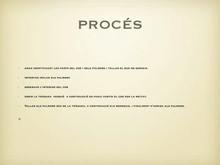 Pràctica de cor i pulmons | PPT