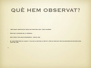 Pràctica de cor i pulmons | PPT