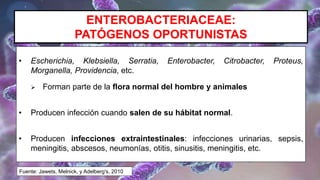 Práctica de Enterobacteriaceae Cáceda.pptx