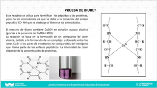 PRÁCTICA DE LABORATORIO.pdf