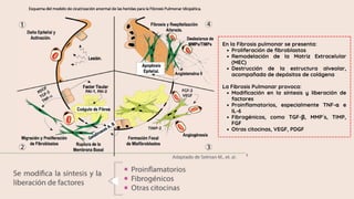 PRÁCTICA FISIOPATOLOGÍA - FIBROSIS PULMONAR.pdf