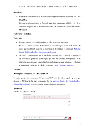PRACTICA VIRTUAL – MEGA: MOLECULAR EVOLUTIONARY GENETICS ANALYSIS | PDF