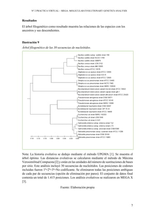 PRACTICA VIRTUAL – MEGA: MOLECULAR EVOLUTIONARY GENETICS ANALYSIS | PDF