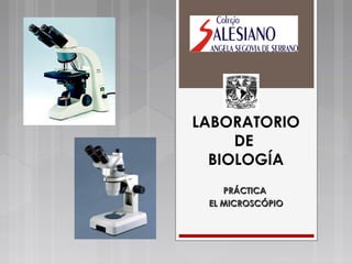 Práctica microscopio | PPT