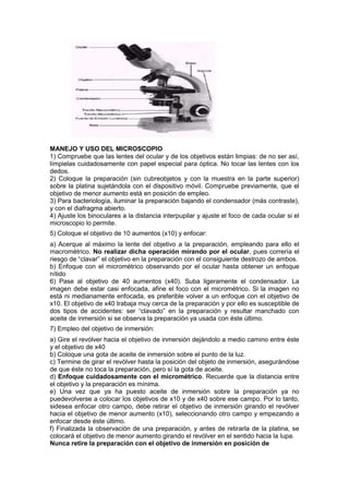 Práctica n 3º microscopio | DOCX